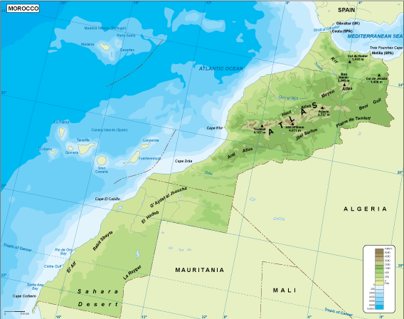Morocco physical map. EPS Illustrator Map | Vector World Maps